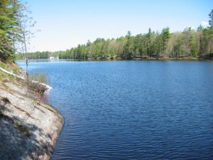 Muldrew Lake | Muskoka Real Estate Services